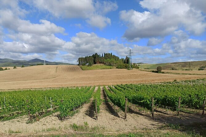 EXCLUSIVE Wine Tour in Chianti & San Gimignano (Lunch & Wine Tasting included) - Who This Tour Will Suit Best