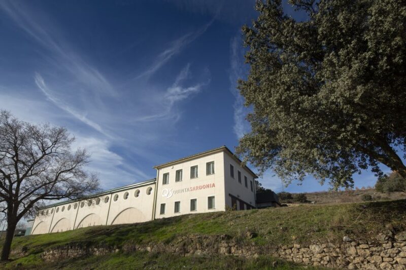 Exclusive Winery tour and tasting in the Golden Mile - An In-Depth Look at the Experience
