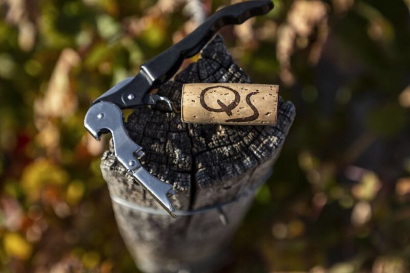 Exclusive Winery tour and tasting in the Golden Mile - The Scenic Top of the Estate and Hidden Soil Secrets