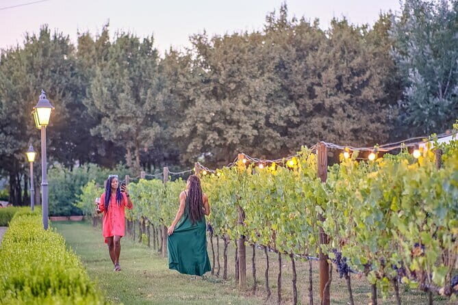 Exclusive Winery Tour with Tasting and Dinner in Chianti vineyard - Review of the Exclusive Winery Tour with Tasting and Dinner in Chianti Vineyard