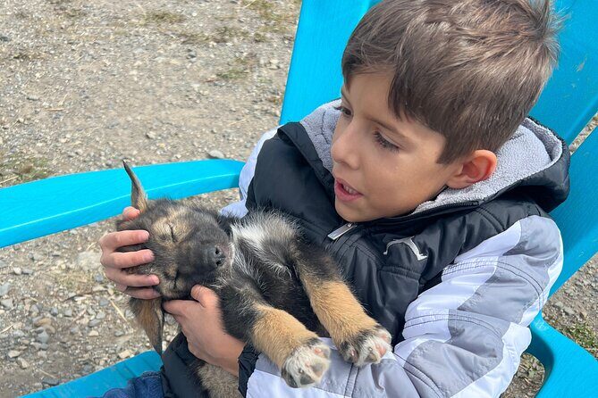 Exclusive Yukon Full-Day Tour with Dog Mushing Adventure - Detailed Breakdown of the Tour Experience