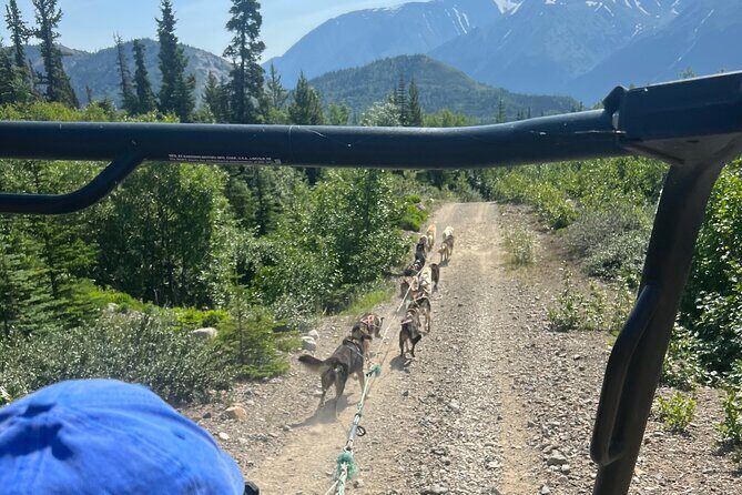 Exclusive Yukon Full-Day Tour with Dog Mushing Adventure - What the Price Represents