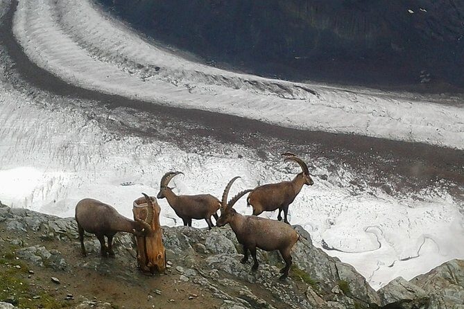 Exclusive Zermatt and Matterhorn: Small Group Tour from Bern - The Value and Who Will Love It