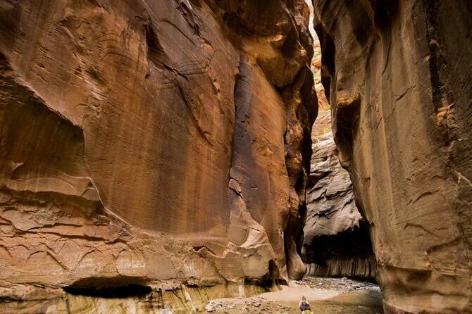 Exclusive Zion National Park Tours - An In-Depth Look at the Experience