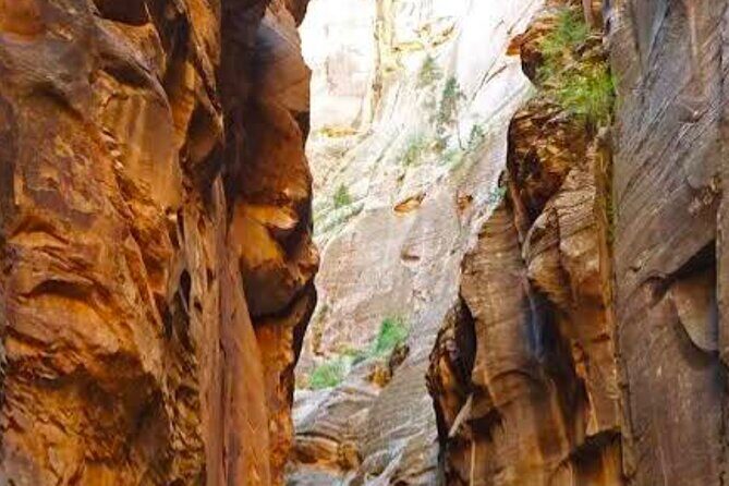 Exclusive Zion National Park Tours - Who Should Consider This Tour