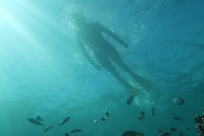 Exclusively Private Snorkel Adventures Training & Tours Ultimate - The Experience in Detail
