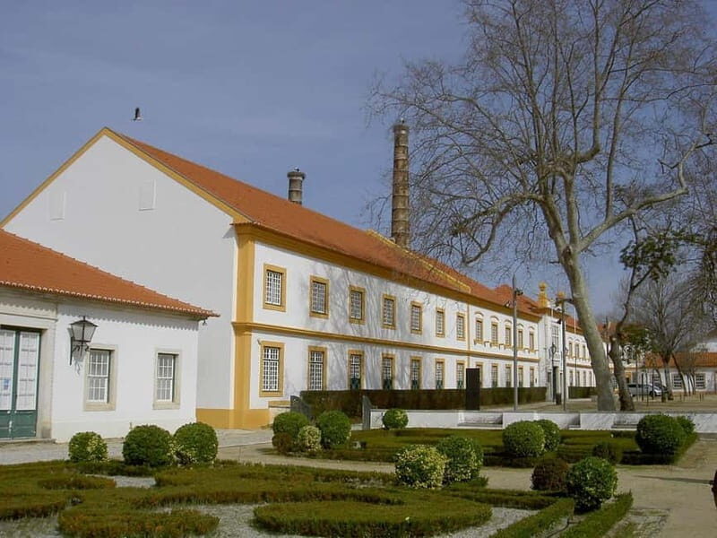Excursion à Aveiro  Venise du Portugal+Balade en Moliceiro. - Practical Aspects: What Makes This Tour Stand Out