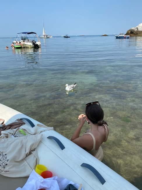 Excursion Bateau Biarritz, Pays basque - Key Points