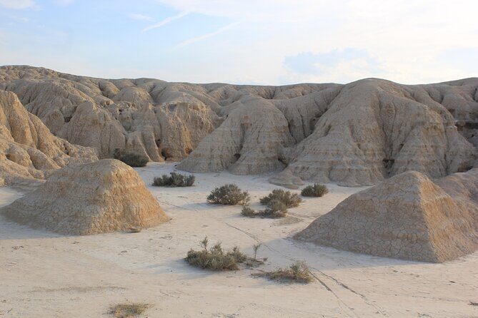 Excursion by car with official guide in Bardenas Reales - Pricing and Value