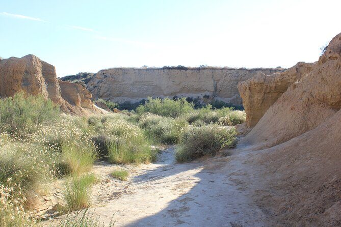 Excursion by car with official guide in Bardenas Reales - Practical Details