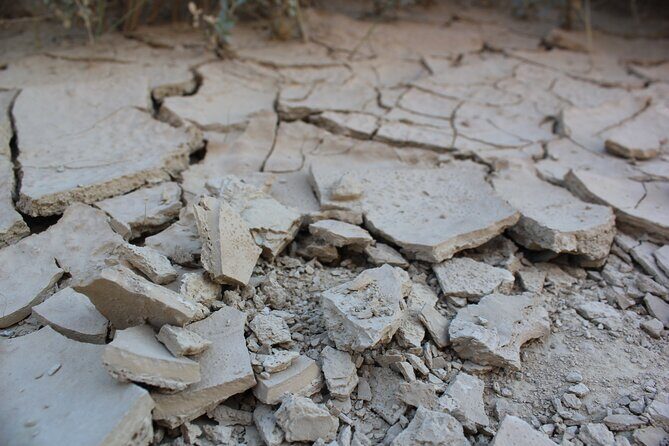 Excursion by car with official guide in Bardenas Reales - Who Should Consider This Tour?
