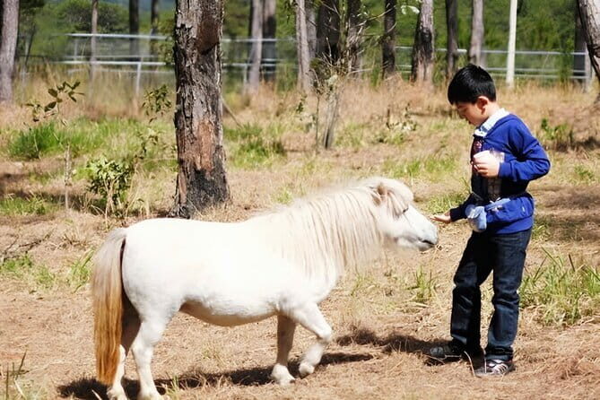 Excursion Da Lat Zoo Doo Tour - Key Points