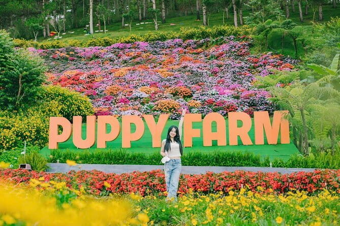 Excursion Da Lat Zoo Doo Tour - Discovering Da Lat: A Practical Breakdown