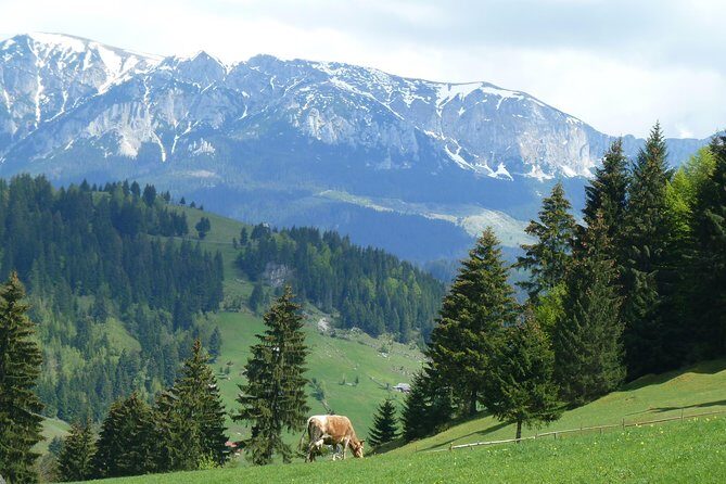 Excursión en Moeciu de Sus (recomendado para familias) con guía español nativo. - The Itinerary: Highlights and What to Expect