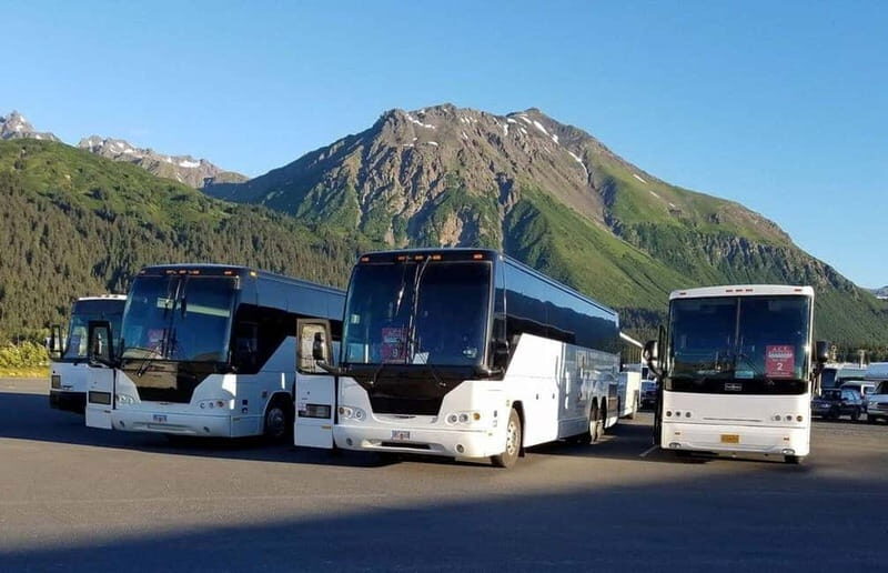 Excursion from A Coruña to Santiago de Compostela - Cruise-ship passengers only - Who This Tour Is Best For