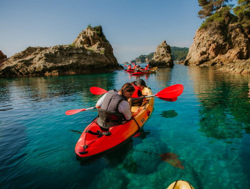 EXCURSION GUIADA EN KAYAK - INICIACIÓN 1h 15m - Introduction