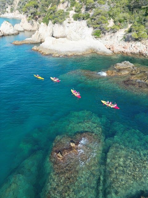 EXCURSION GUIADA EN KAYAK - INICIACIÓN 1h 15m - An Authentic Look at the Kayak Experience