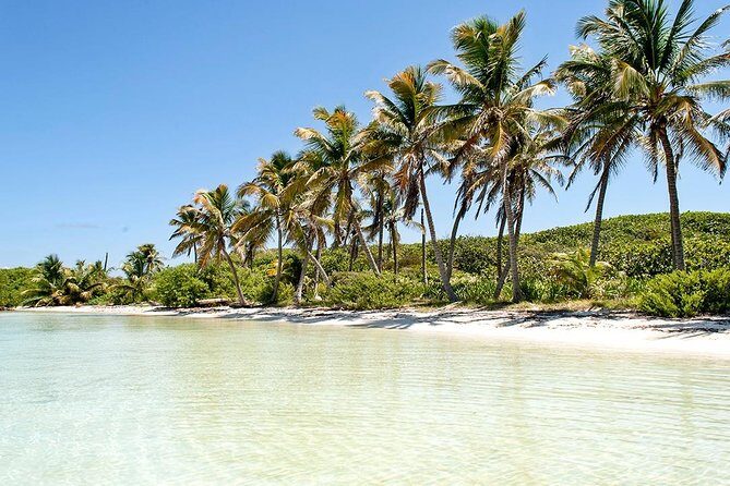 Excursion Isla Contoy & Isla Mujeres from Cancun - The Itinerary in Depth