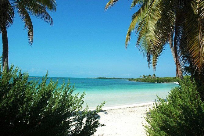 Excursion Isla Contoy & Isla Mujeres from Cancun - Who Should Consider This Tour?