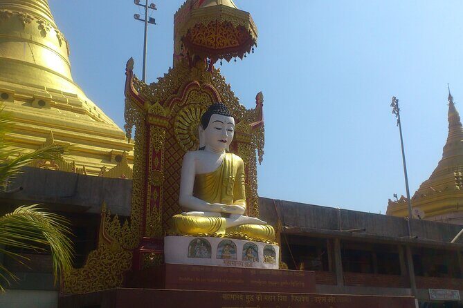 Excursion - Pagoda,Kanheri Caves & SG National Park - A Closer Look at the Tour: What’s Included and What’s Not