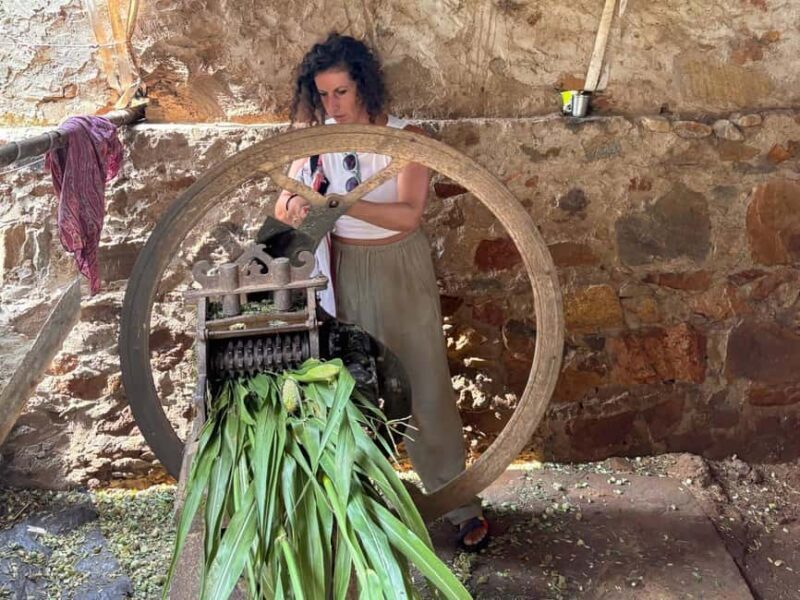 Excursion to Abhaneri and the Monkey Temple from Jaipur - Starting Point and Logistics