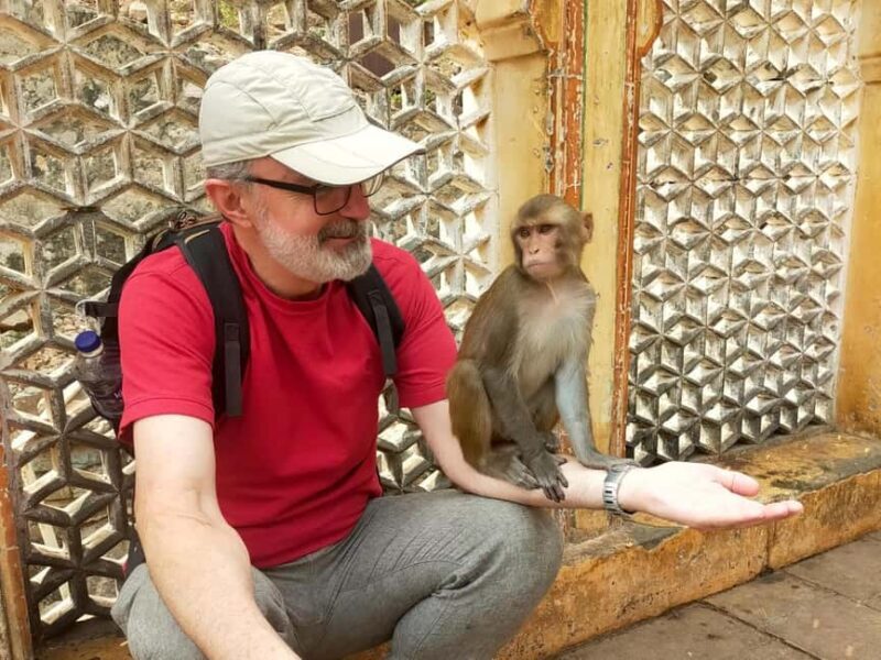 Excursion to Abhaneri and the Monkey Temple from Jaipur - Practical Considerations