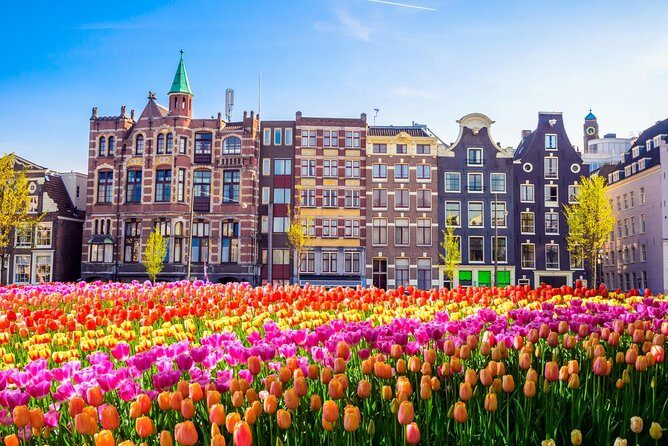 Excursion to Amsterdam by bus from Brussels - Key Points