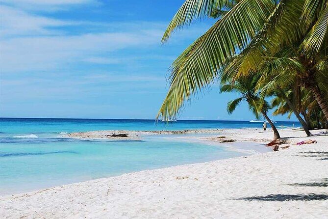 Excursion to Catalina Island and Snorkeling from Punta Cana - Authenticity and Experience: What Travelers Say