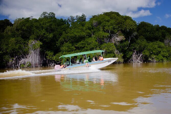 Excursion to Celestun Biosphere and Beach Day from Merida - The Sum Up