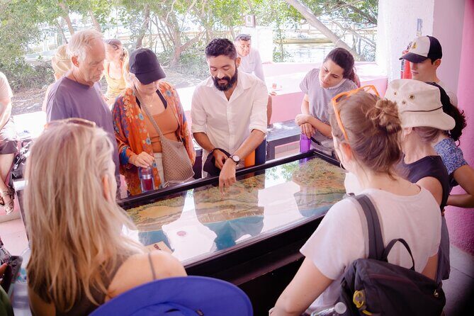 Excursion to Celestun Biosphere and Beach Day from Merida - Frequently Asked Questions