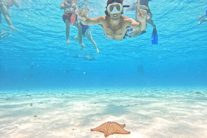 Excursion to Cozumel from Cancun - An In-Depth Look at the Cozumel Excursion
