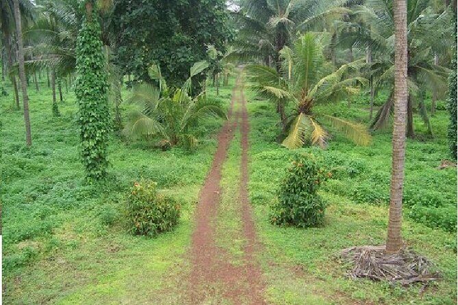 Excursion To Karkala And Moodabidri From Mangalore with Lunch - Who Should Consider This Tour