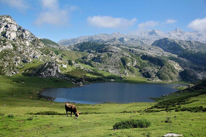Excursion to Lakes of Covadonga and Cangas de Onís from Oviedo - Overall Experience and Tips