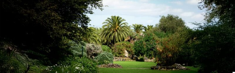 Excursion to Las Palmas: History and Culture - Practical Details and Tips
