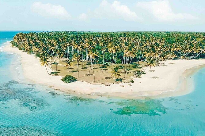 Excursion to Montaña Redonda and Playa Esmeralda from Punta Cana - What Travelers Are Saying