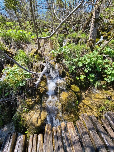 Excursion to Plitvice National Park - FAQ