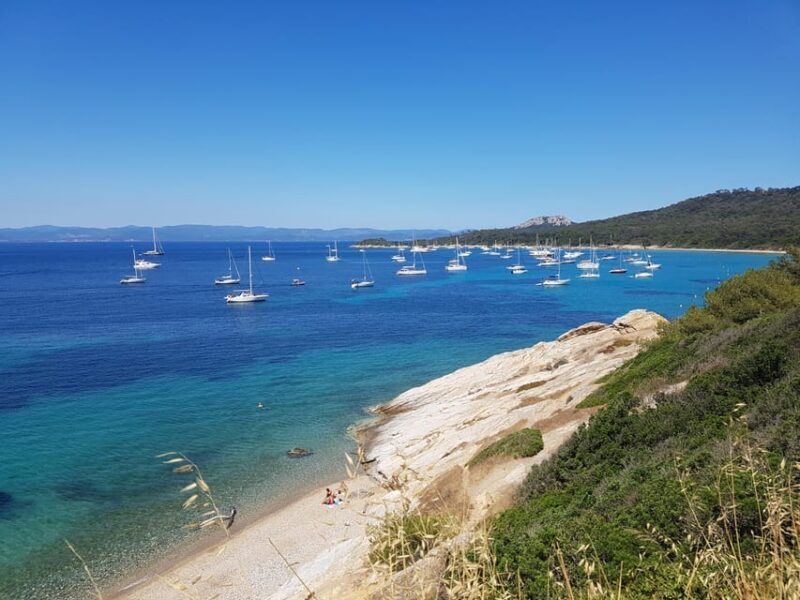 Excursion to Porquerolles Island from Bandol - A Detailed Look at the Tour Experience