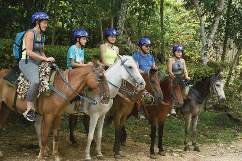 Excursion to Samaná, El Limón Waterfall and Bacardi Island from Punta Cana - Final Thoughts