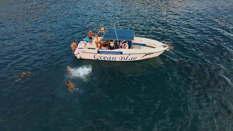 Excursion to see the whales - 3 Hours - Analyzing the Experience: What to Expect on Your Trip