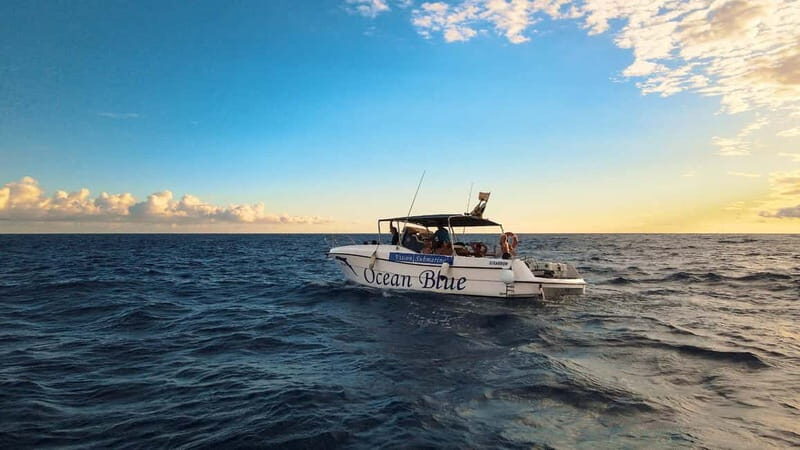 Excursion to see the whales - 3 Hours - Real Traveler Perspectives: Authentic Experiences
