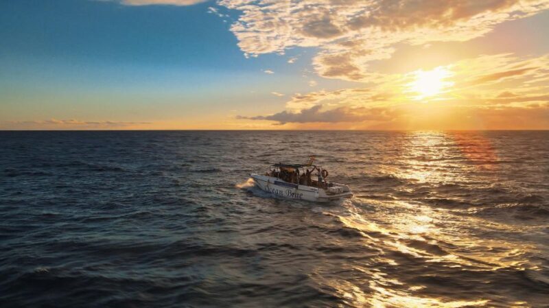 Excursion to see the whales - 3 Hours - Analyzing the Overall Value