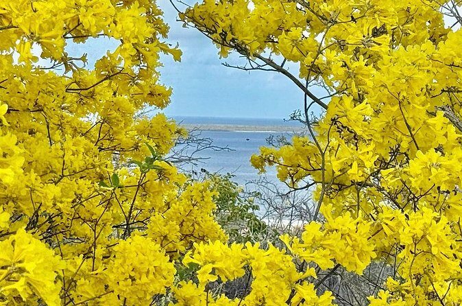 Excursion to Seru Largu Highest Viewing Point on Bonaire - FAQ
