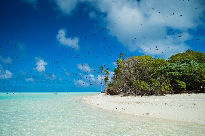 Excursion to Tetiaroa by Catamaran Visit Lunch Snorkeling - Frequently Asked Questions (FAQs)