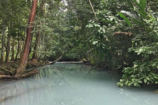 Excursion to Waterfalls of Villaluz and Tapijulapa "Magic Town" - Authentic Experiences and Valuable Insights