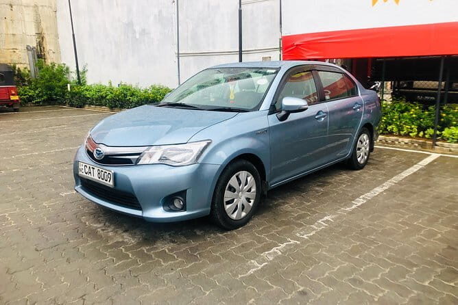 Excursion tour of Rajgir & Nalanda from Bodhgaya - Practical Details and Tips