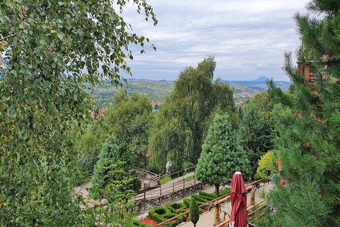 Executive Dracula Day Trip - See Bran & Peles Castle, Brasov from Bucharest - FAQ