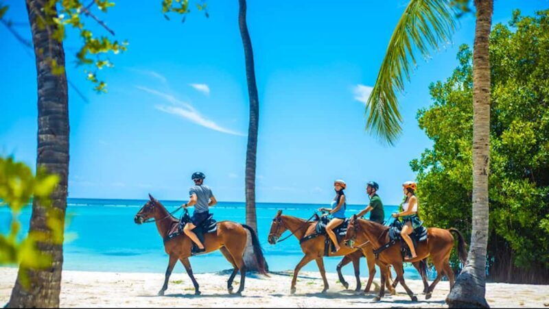 Exhilarating Buggy Tours: Discover Punta Cana Scenic Wonders - What Travelers Actually Say