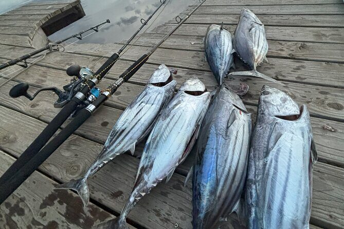 Exit fishing wholesale - An In-Depth Look at the Moorea Fishing Adventure