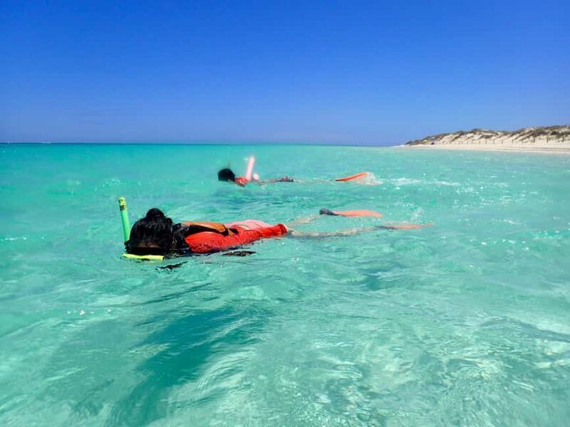 Exmouth: Full day Ningaloo in a Day tour - Key Points