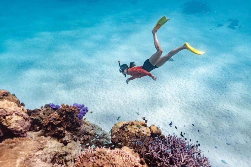 Exmouth: Guided Ningaloo Reef Snorkel Adventure - What to Expect on the Tour
